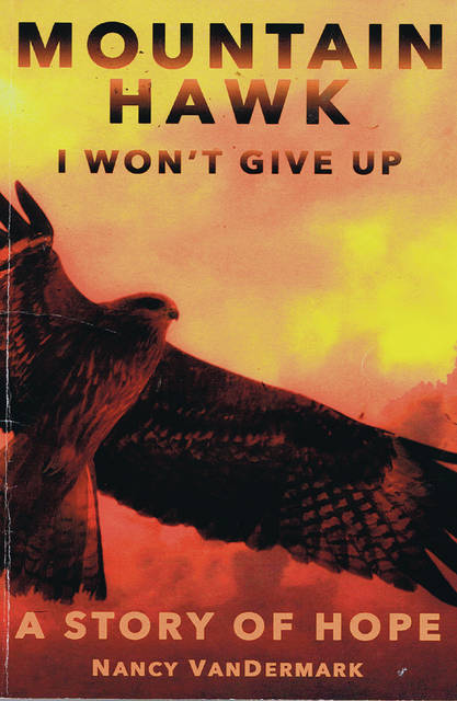 Former Harding resident Nancy VanDermark pens book detailing son’s ...