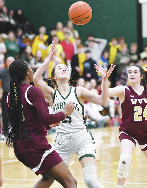 WYOMING AREA GIRLS BASKETBALL ROUNDUPLady Warriors upset Wyoming Valley ...