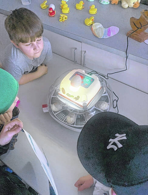 Martin F. Quinn Primary Center students learn about ducks | The Sunday ...